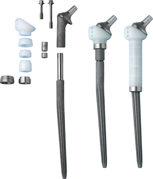 MP Reconstruction
