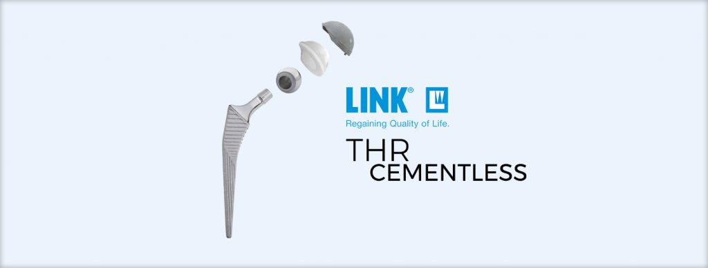 THR Cementless