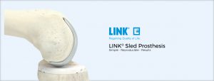 Sled Prothesis